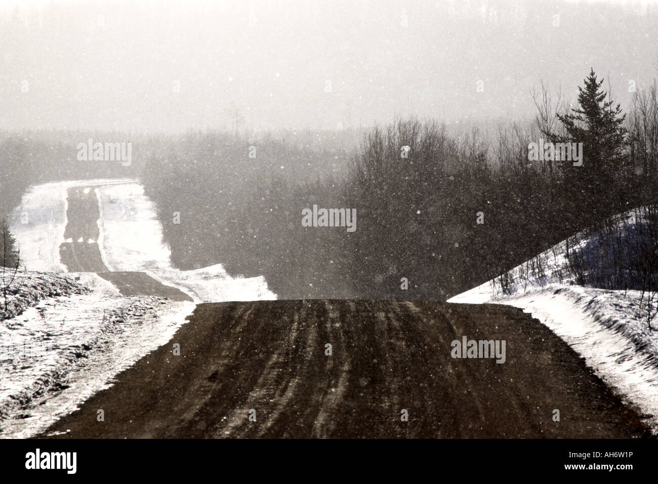 Logging snow hi-res stock photography and images - Alamy