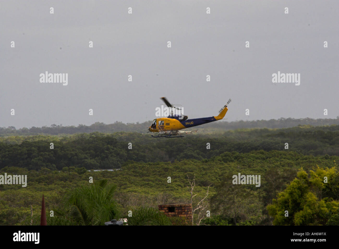 Helicopter insects hi-res stock photography and images - Alamy