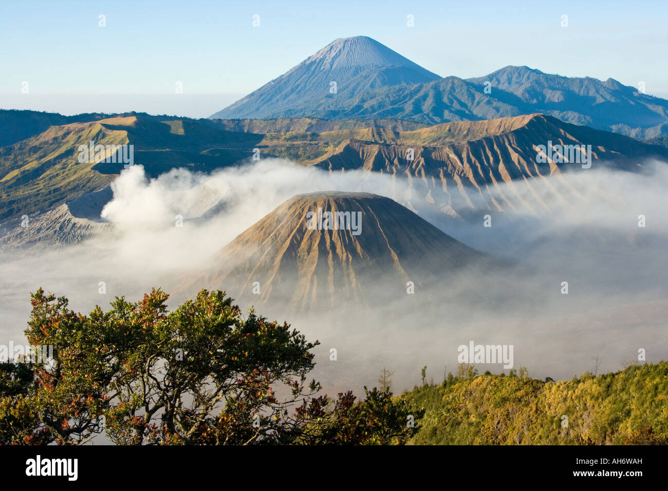 Gunung Bromo or Mount Bromo area Java Indonesia Stock Photo - Alamy
