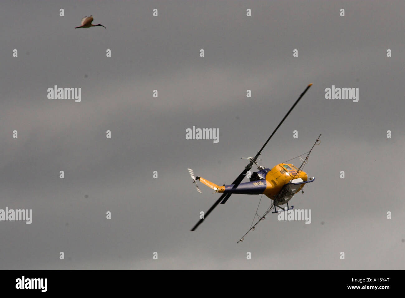 Helicopter spraying for mosquito control Brisbane Australia Stock Photo ...