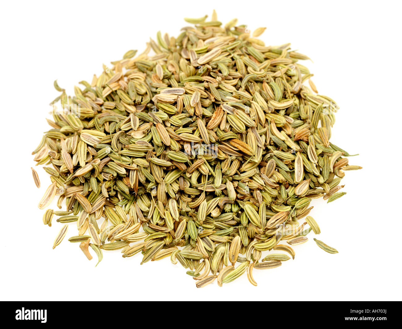 Fennel seed herb healthy hi-res stock photography and images - Alamy