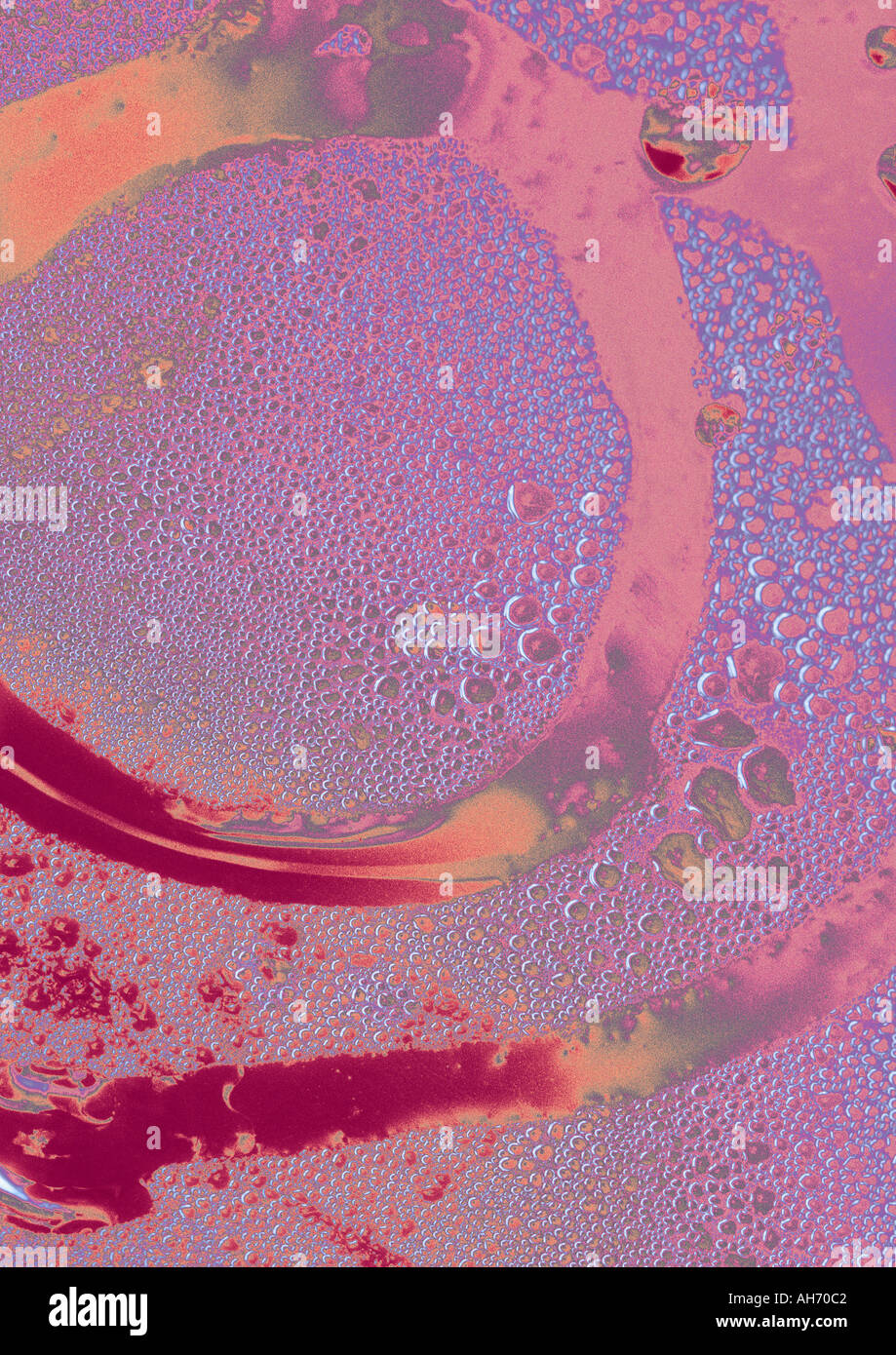 Slug trails and condensation on glass in red blue and pink Stock Photo ...