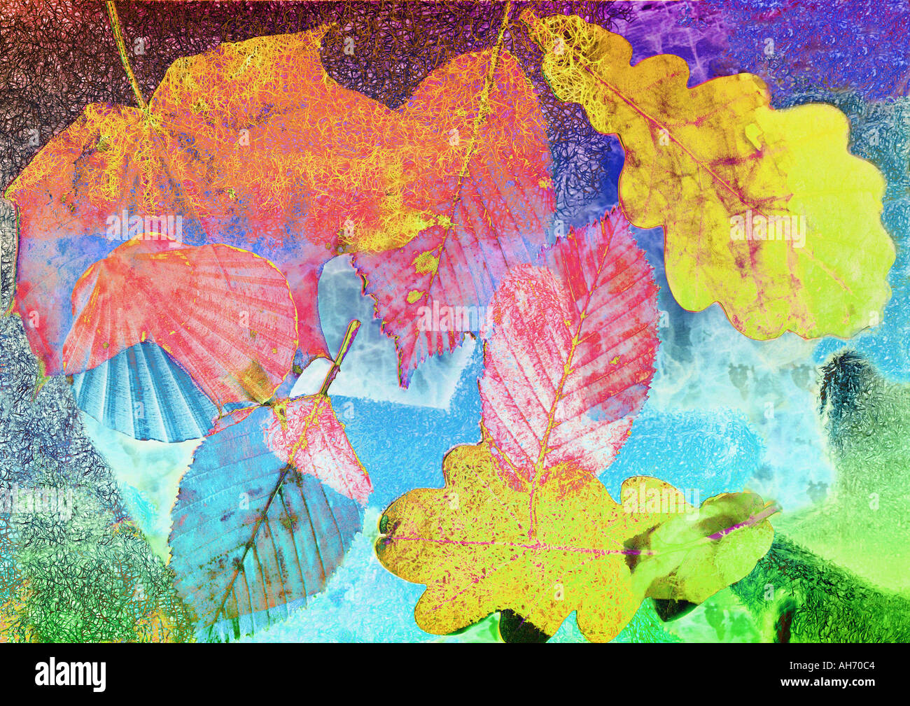 Interesting colour combination hi-res stock photography and images - Alamy