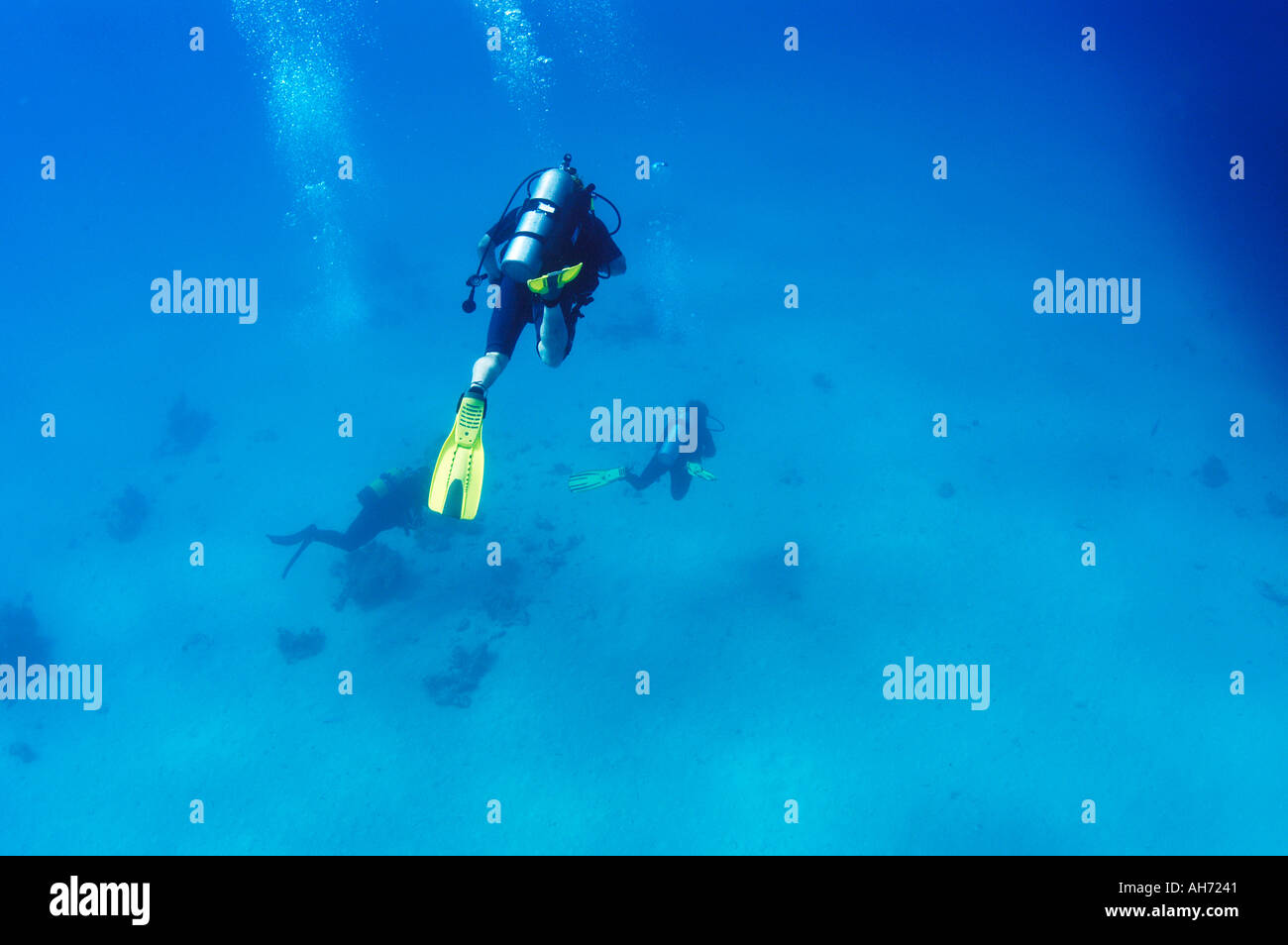 Scuba diver descending hi-res stock photography and images - Alamy