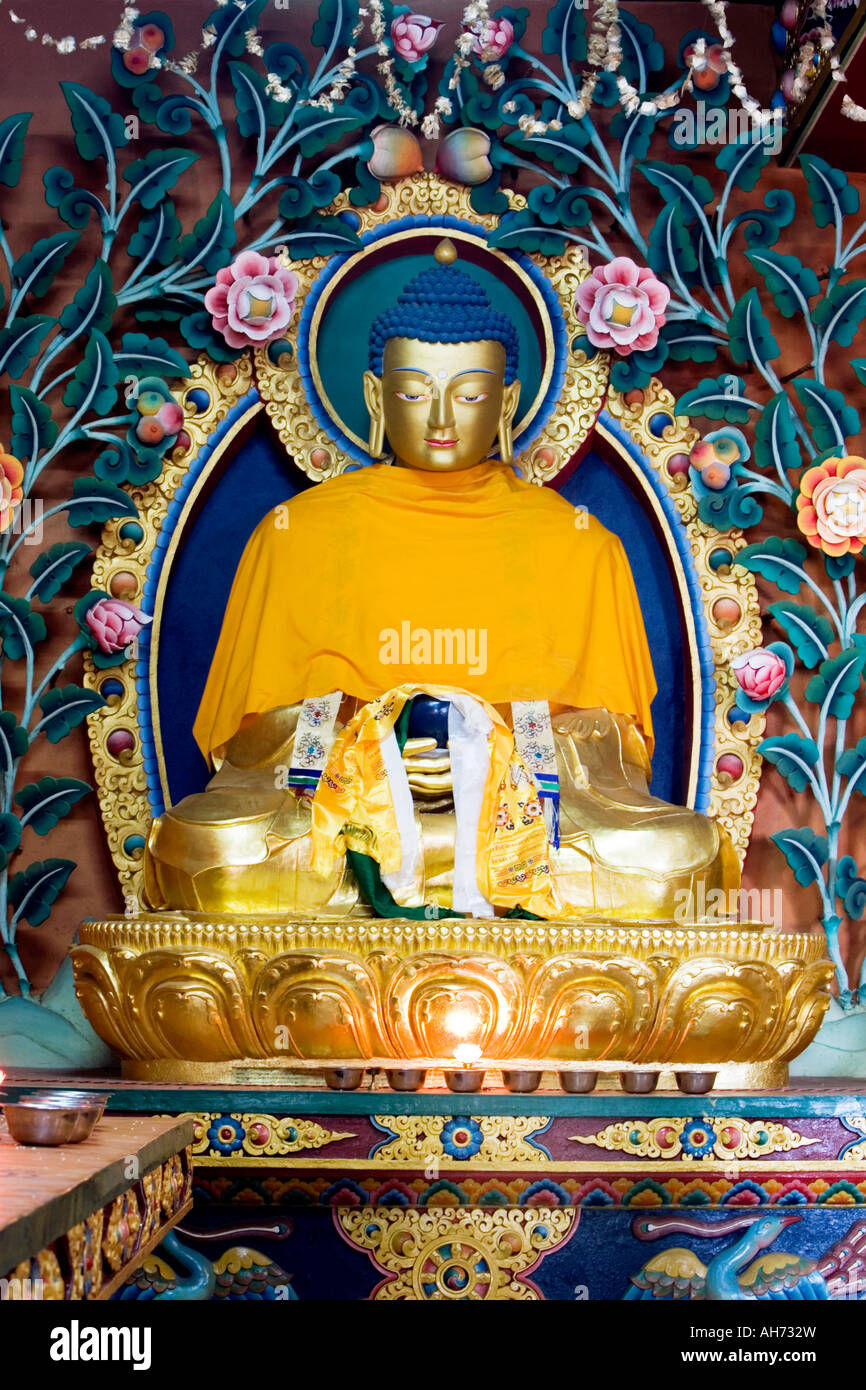Golden Medicine Buddha statue in Tibetan buddhist monastery. Boudhanath ...