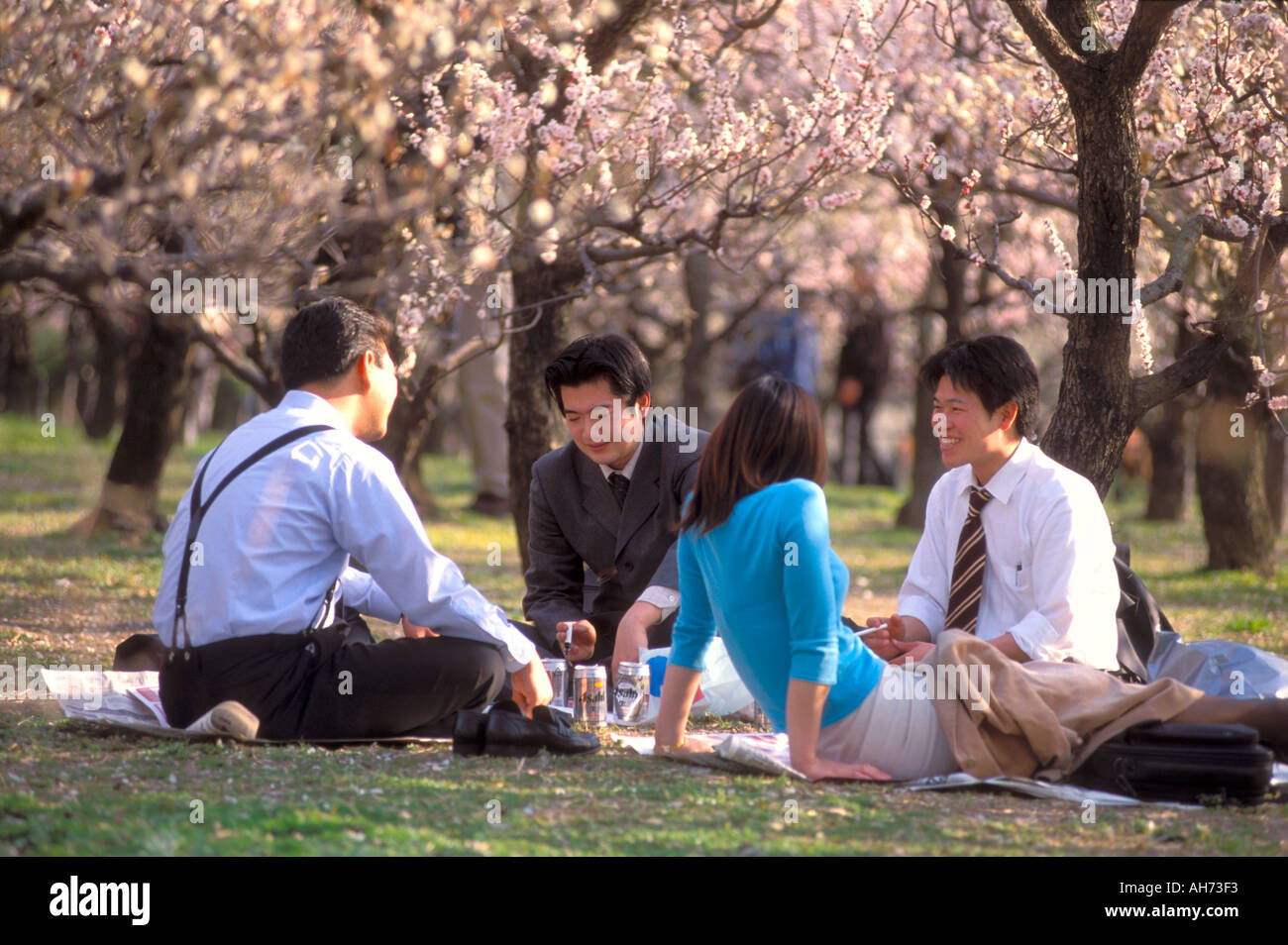 Japanese people having picnic hi-res stock photography and images - Alamy