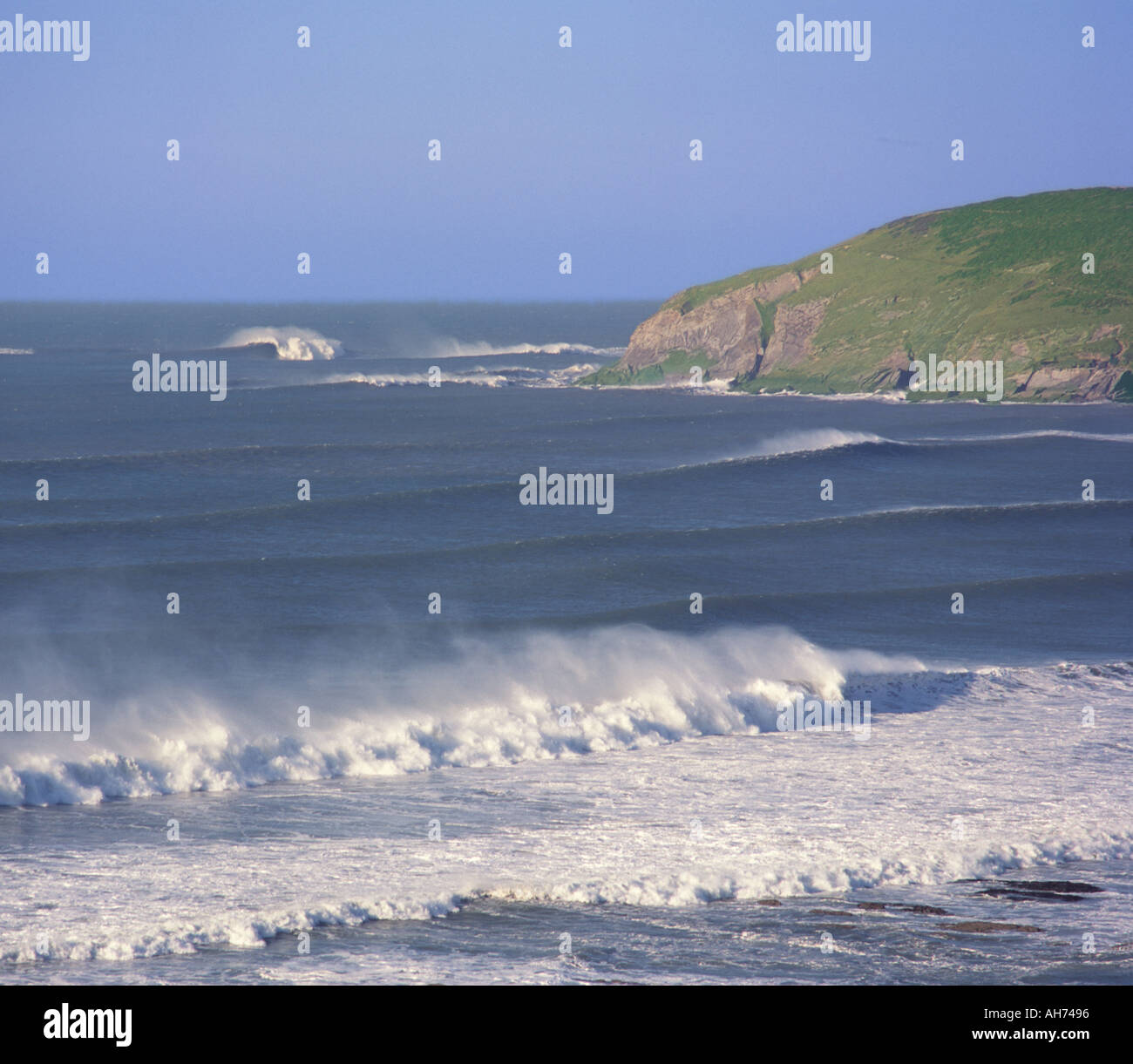 Classic wave breaking at Downend in Croyde Bay with wind blown spray and Baggy Point headland ...