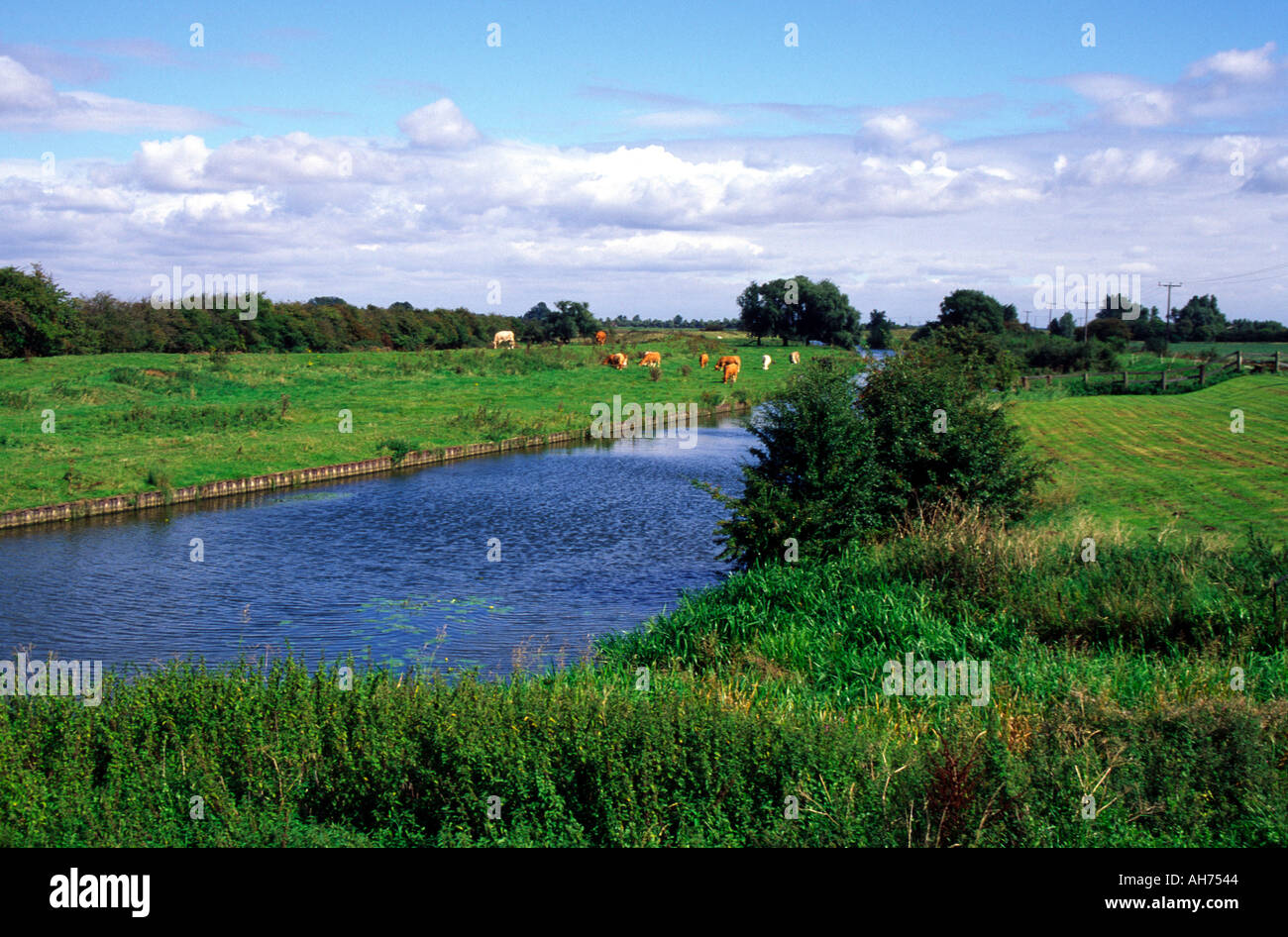 Great river Ouse Stretham Cambridgeshire England Stock Photo - Alamy