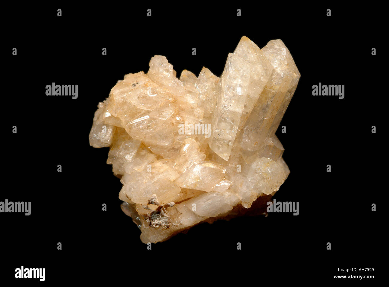 Varient adularia hi-res stock photography and images - Alamy