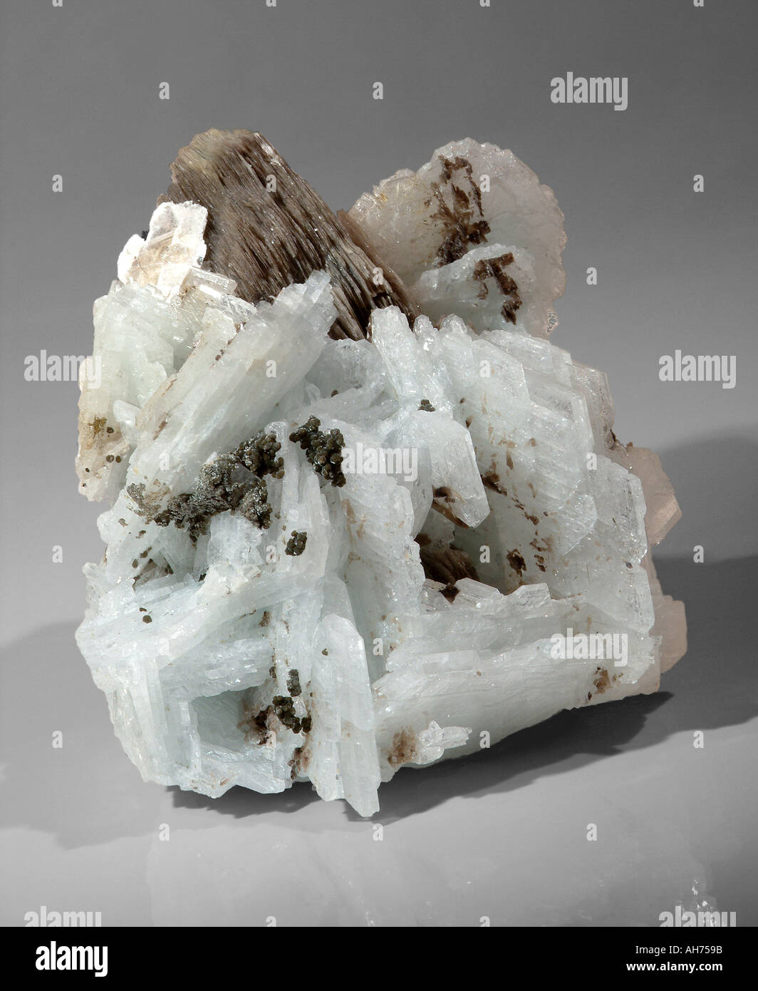 Mineral Albite, Varient Clevelandite, Pale blue spade shaped sheets ...