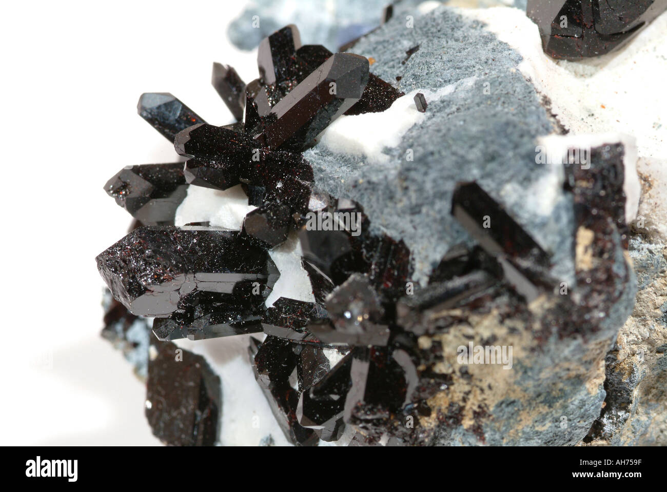 Neptunite hi-res stock photography and images - Alamy