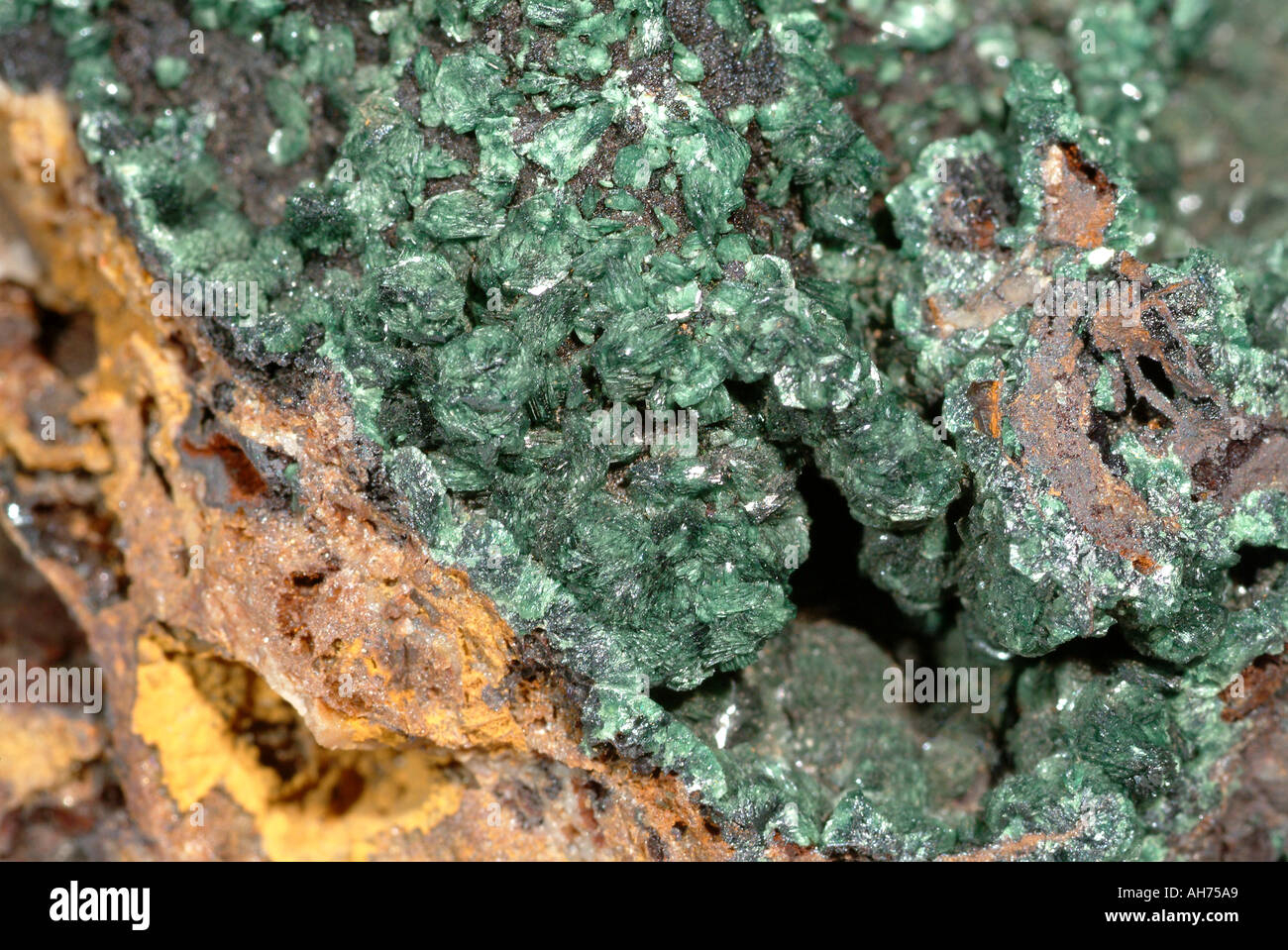 Wheal phoenix hi-res stock photography and images - Alamy