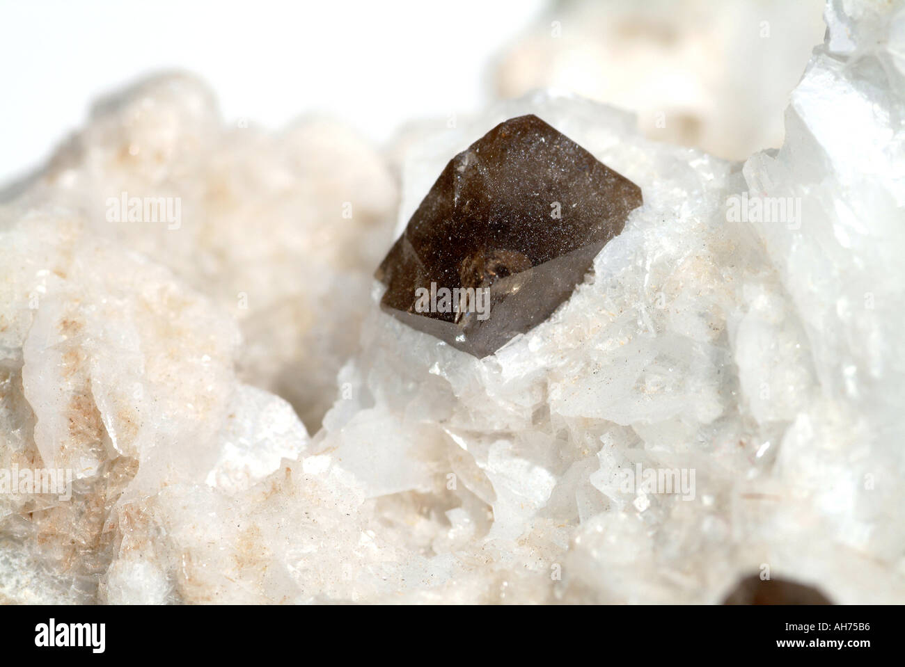 Mineral Scheelite, brown octahedral crystals on white calcite that ...