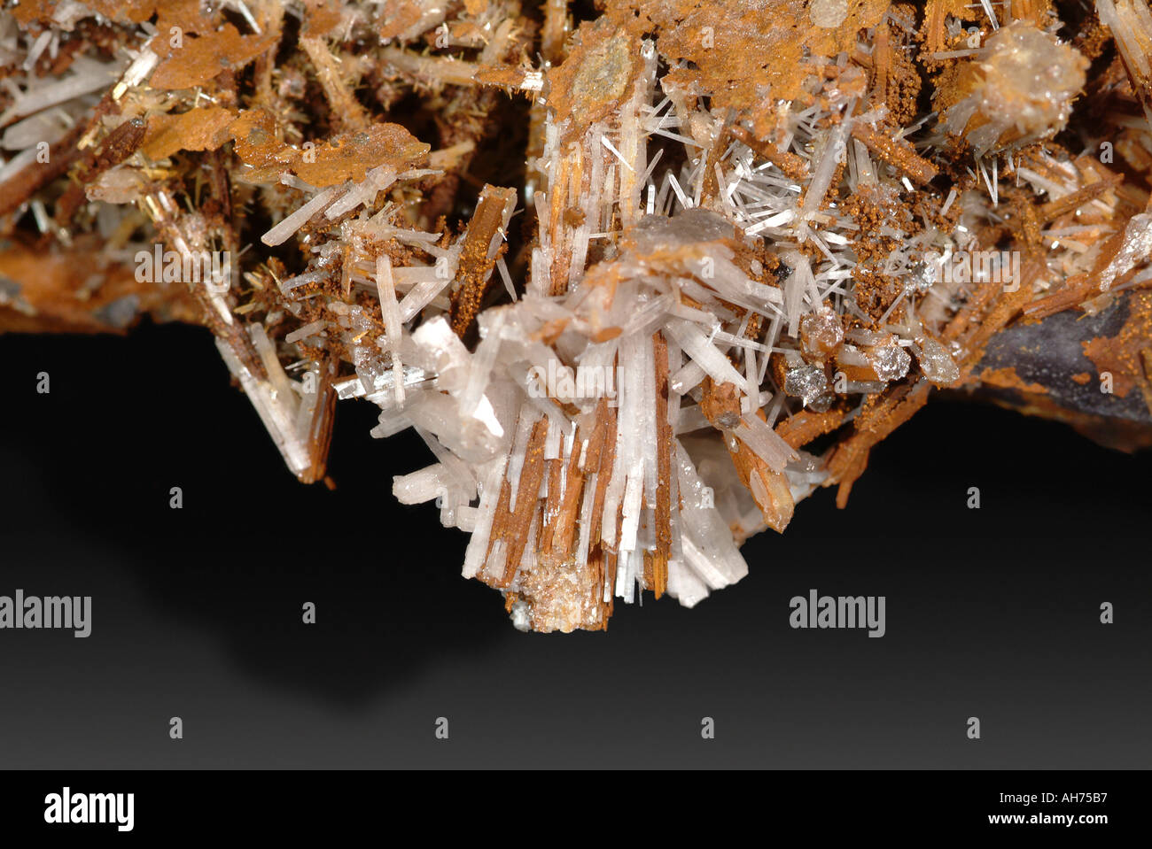Mineral Cerussite, Wire cheese straws partially coated in red staining ...