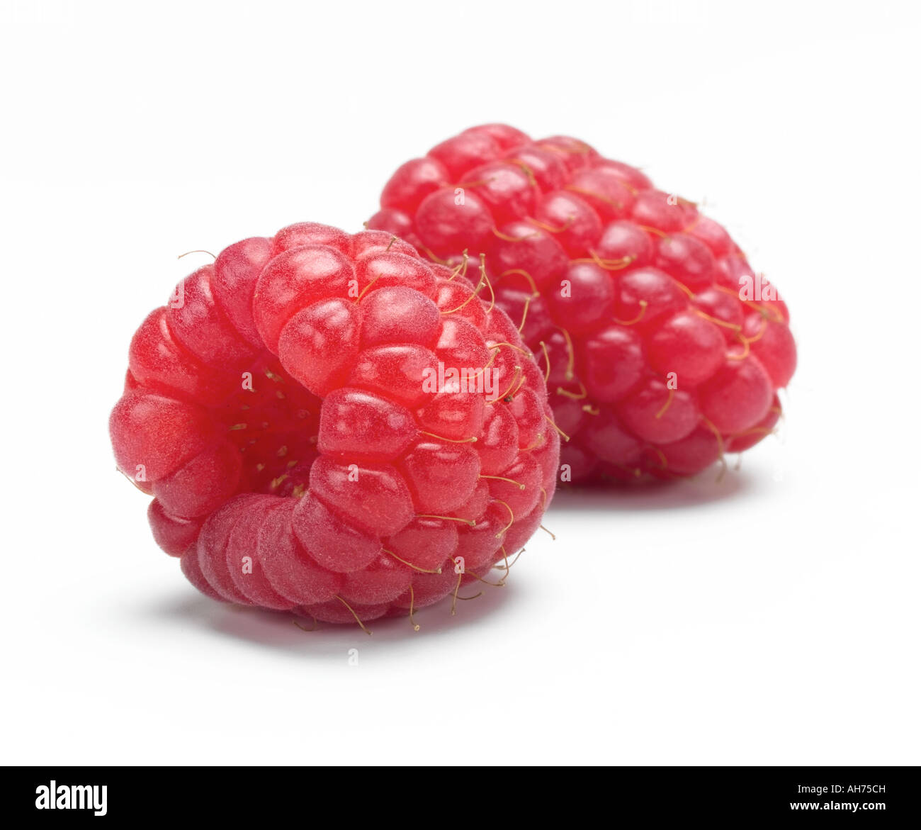 English raspberries Cut Out Stock Images & Pictures - Alamy