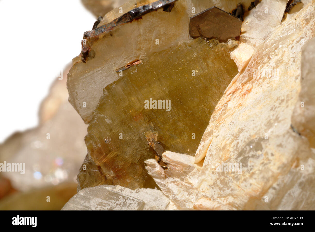 Mineral Siderite, Golden hexagonal crystal plates of siderite on creamy ...
