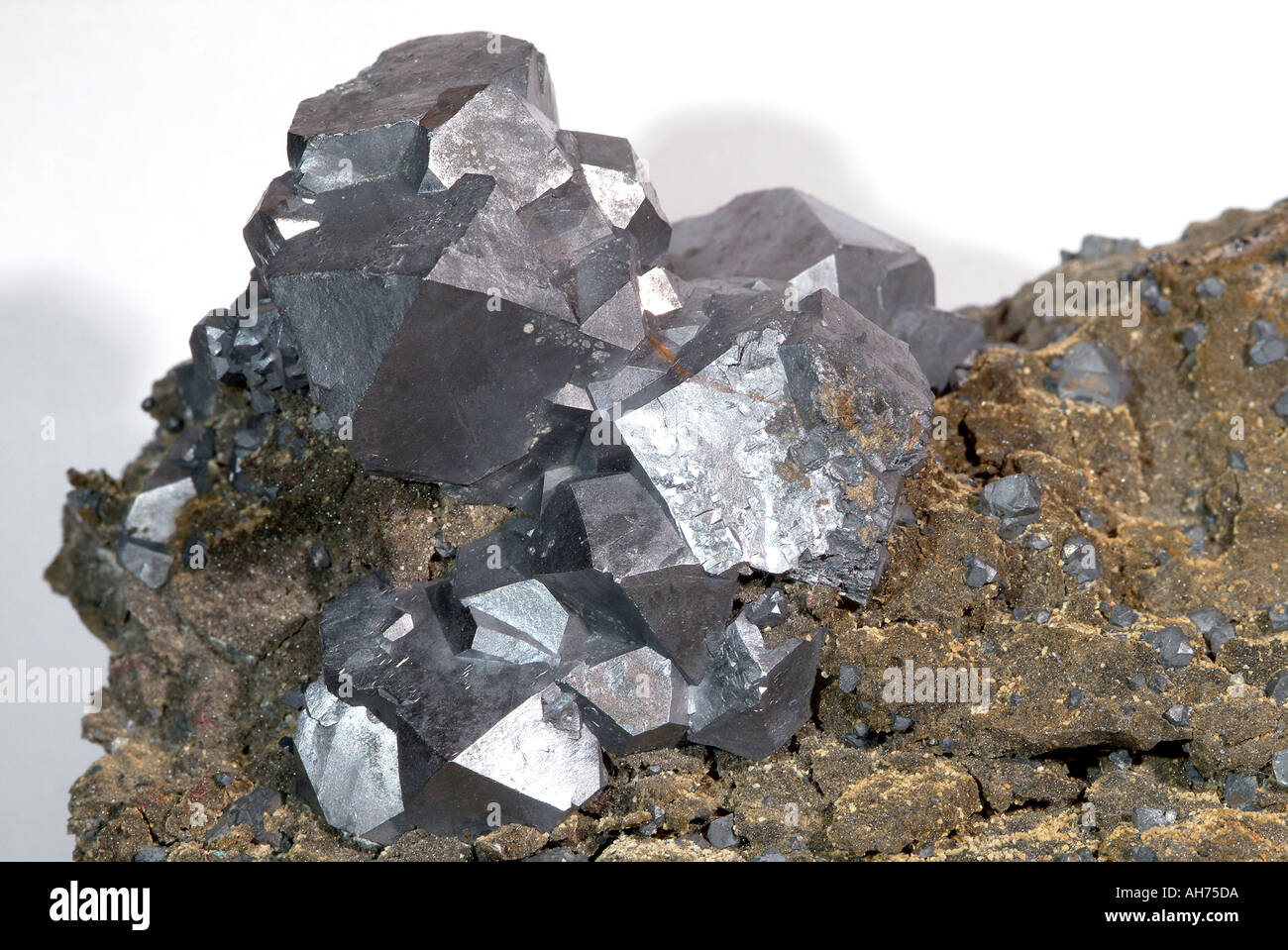 Mineral Galena, Sharp shiny galena crystals on a limestone matrix ...
