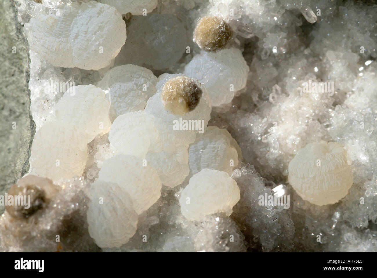 Closeup india poona hi-res stock photography and images - Alamy