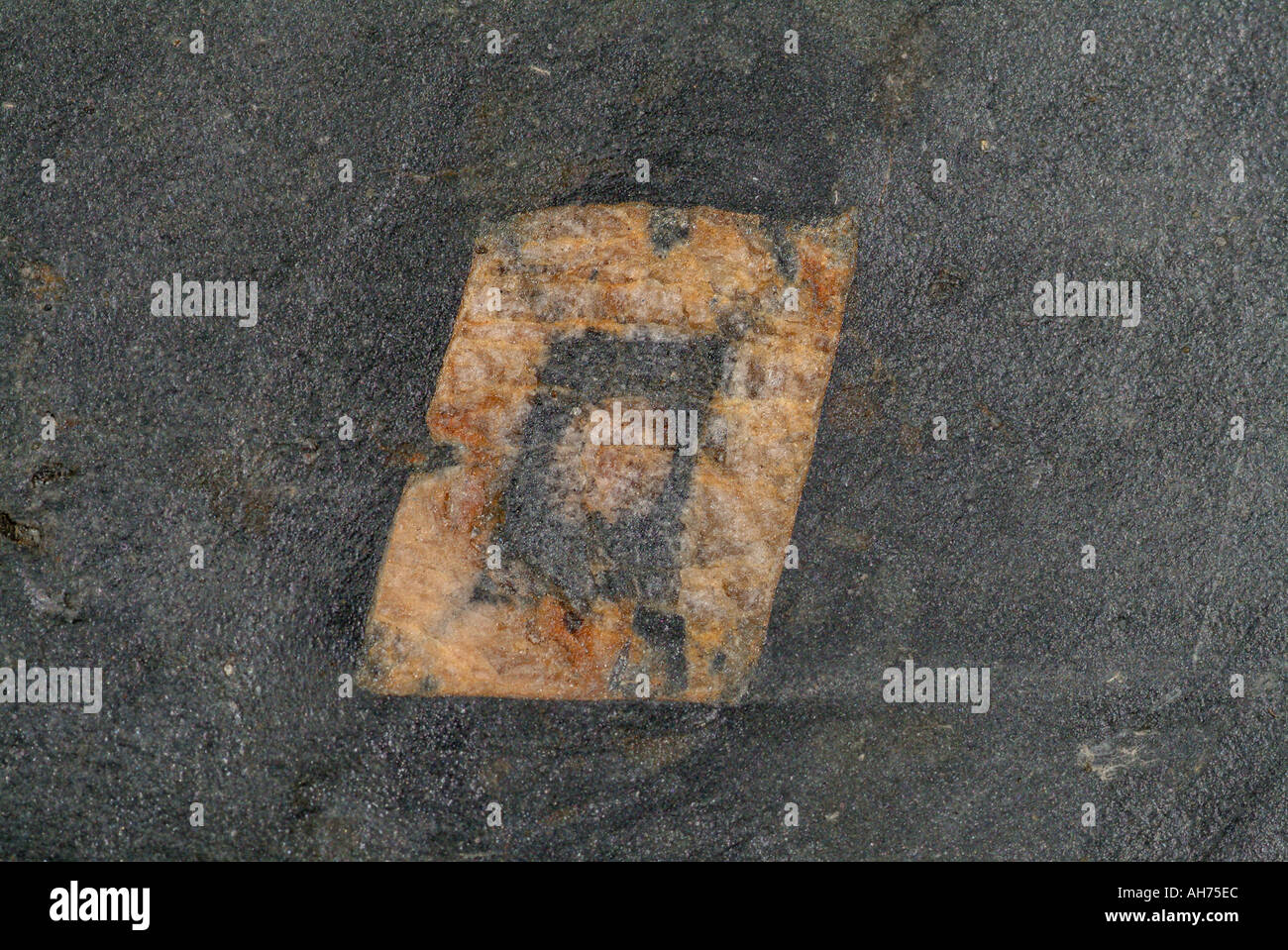 Mineral Andalusite, Cross section of crystals exposed in cut and ...