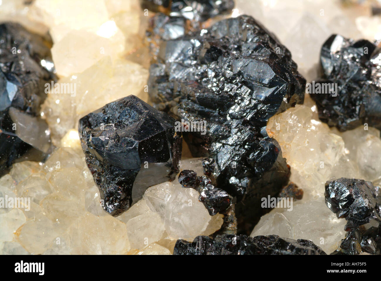 Mineral Sphalerite, Small jet-black shiny crystals sitting on a bed of ...