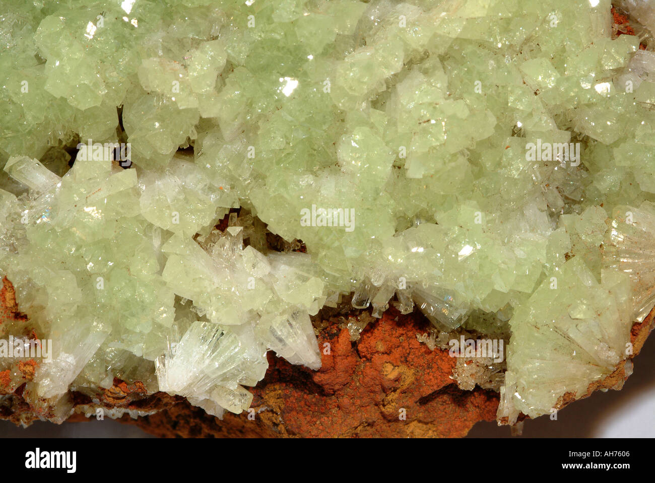Mineral Adamite, Pale green crystals on an ochre matrix, Ojuela mine ...