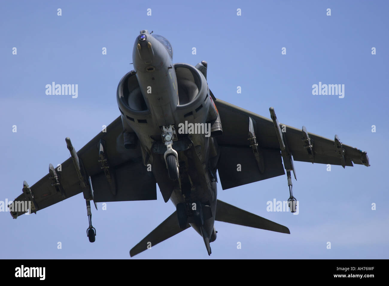 BAe Harrier GR7 Stock Photo - Alamy