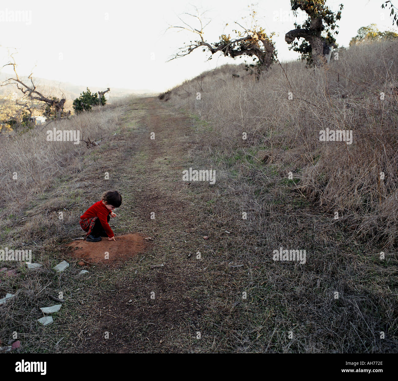 Children investigating bugs hi-res stock photography and images - Alamy