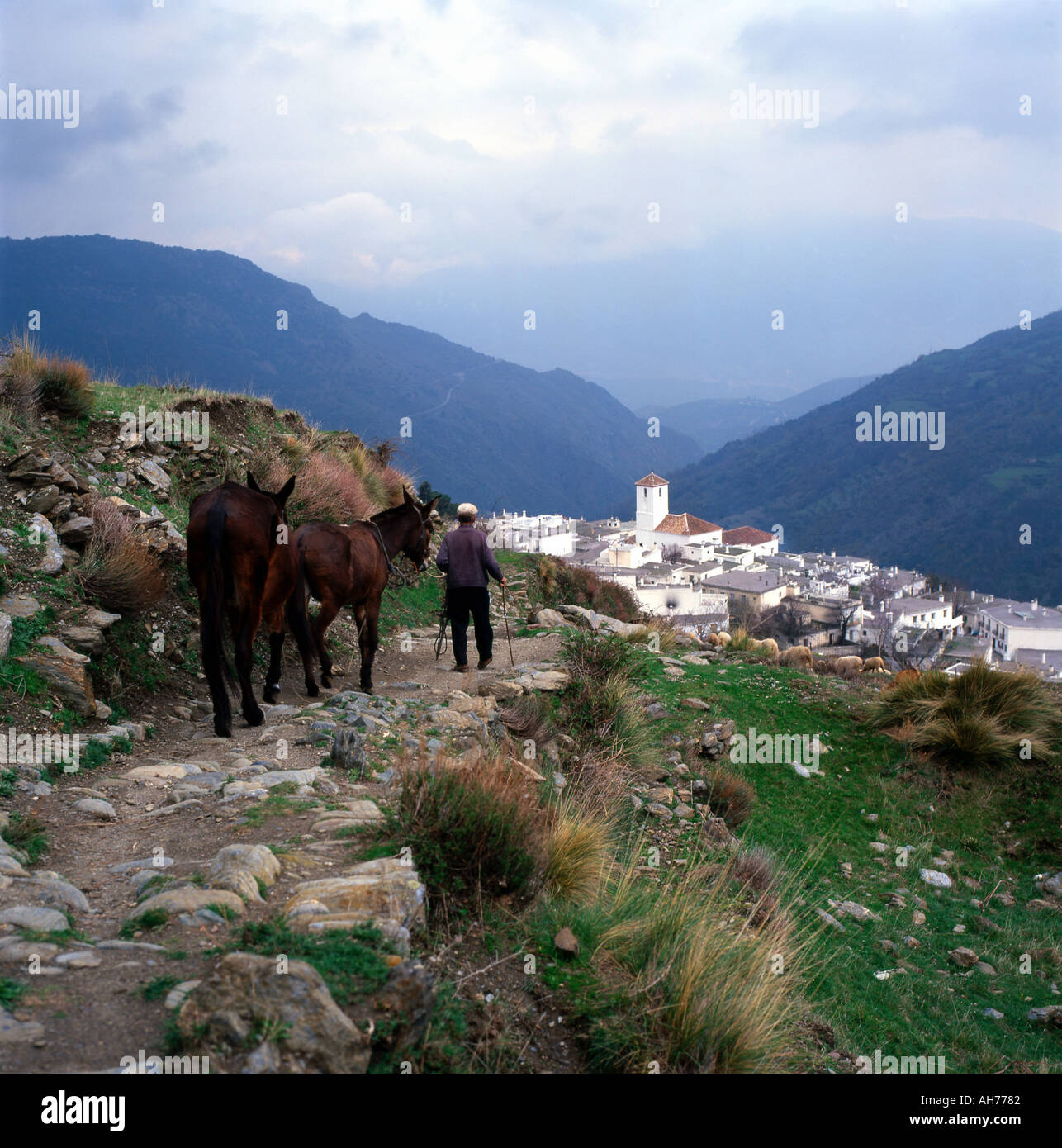 Gr7 trail hi-res stock photography and images - Alamy
