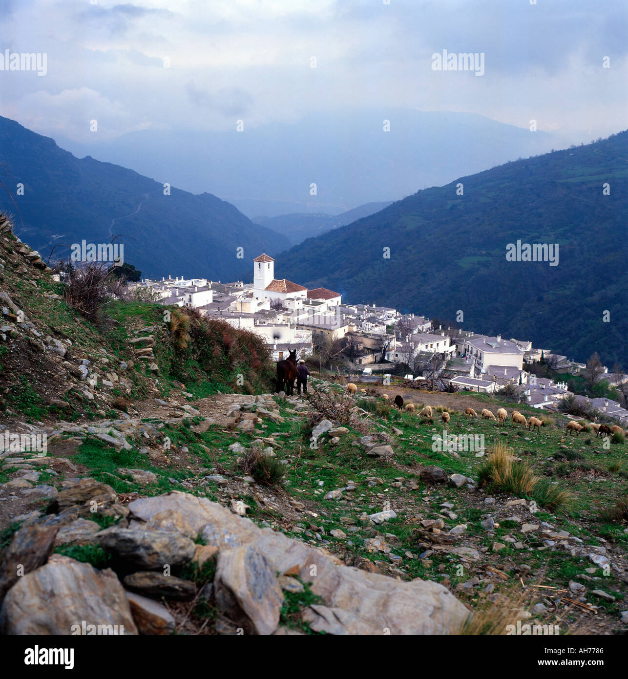 A peasant walking a horse above white village of Capileira in the ...