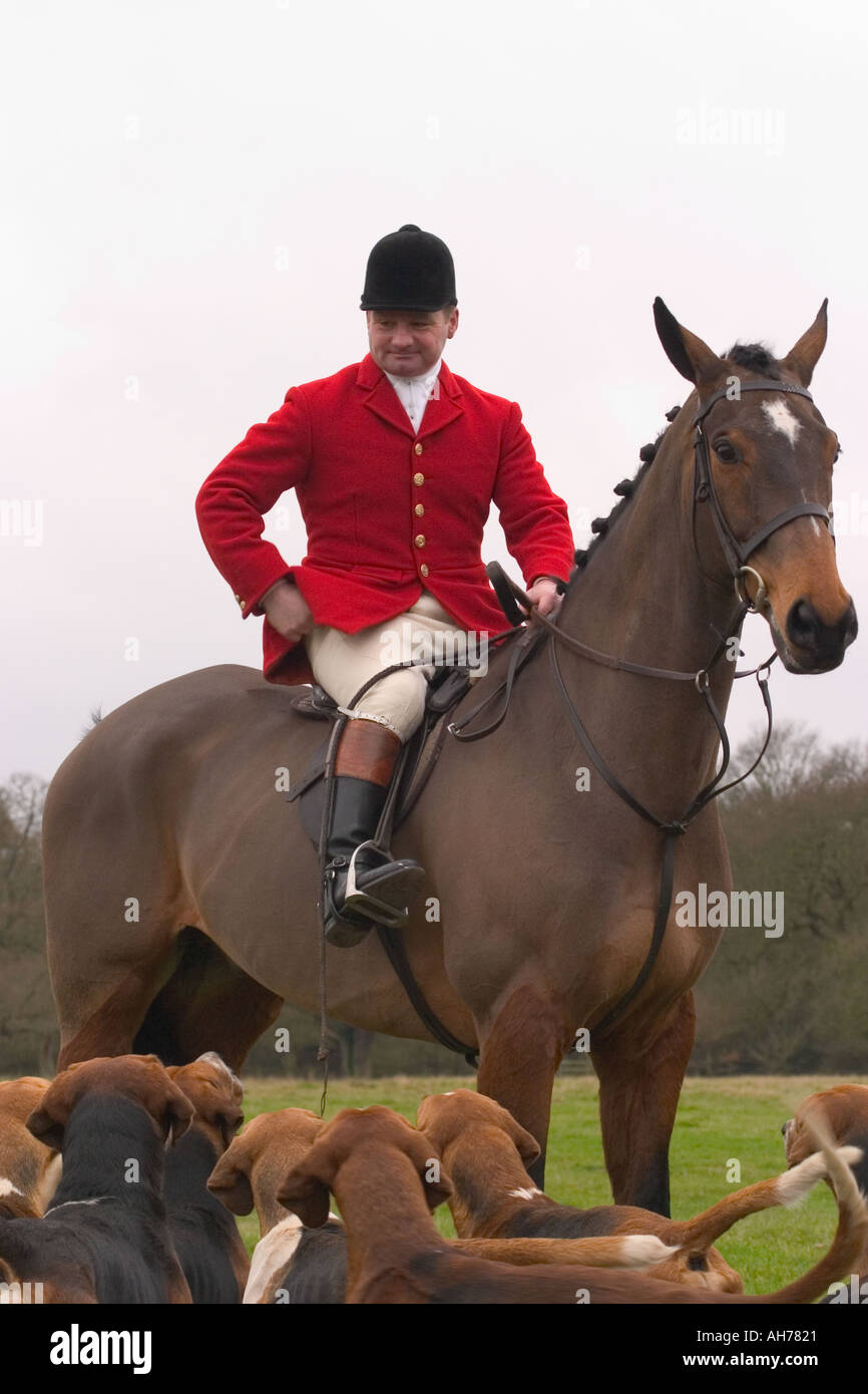 Hunts master hounds hi-res stock photography and images - Alamy