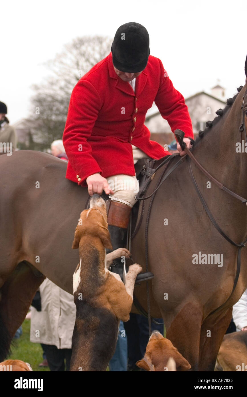 Huntsman traditional hunting hi-res stock photography and images - Alamy
