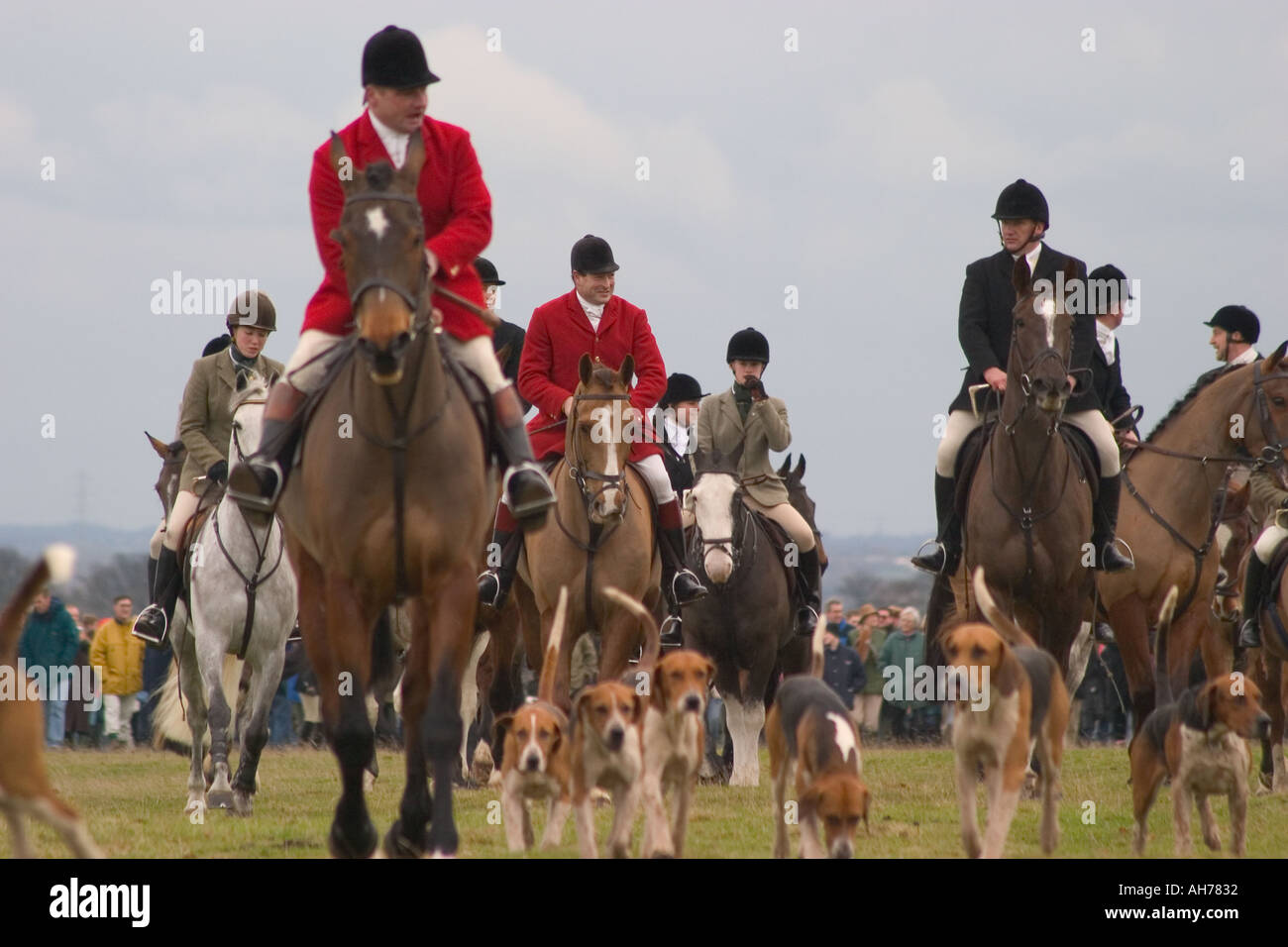 Hunting for sport hi-res stock photography and images - Alamy