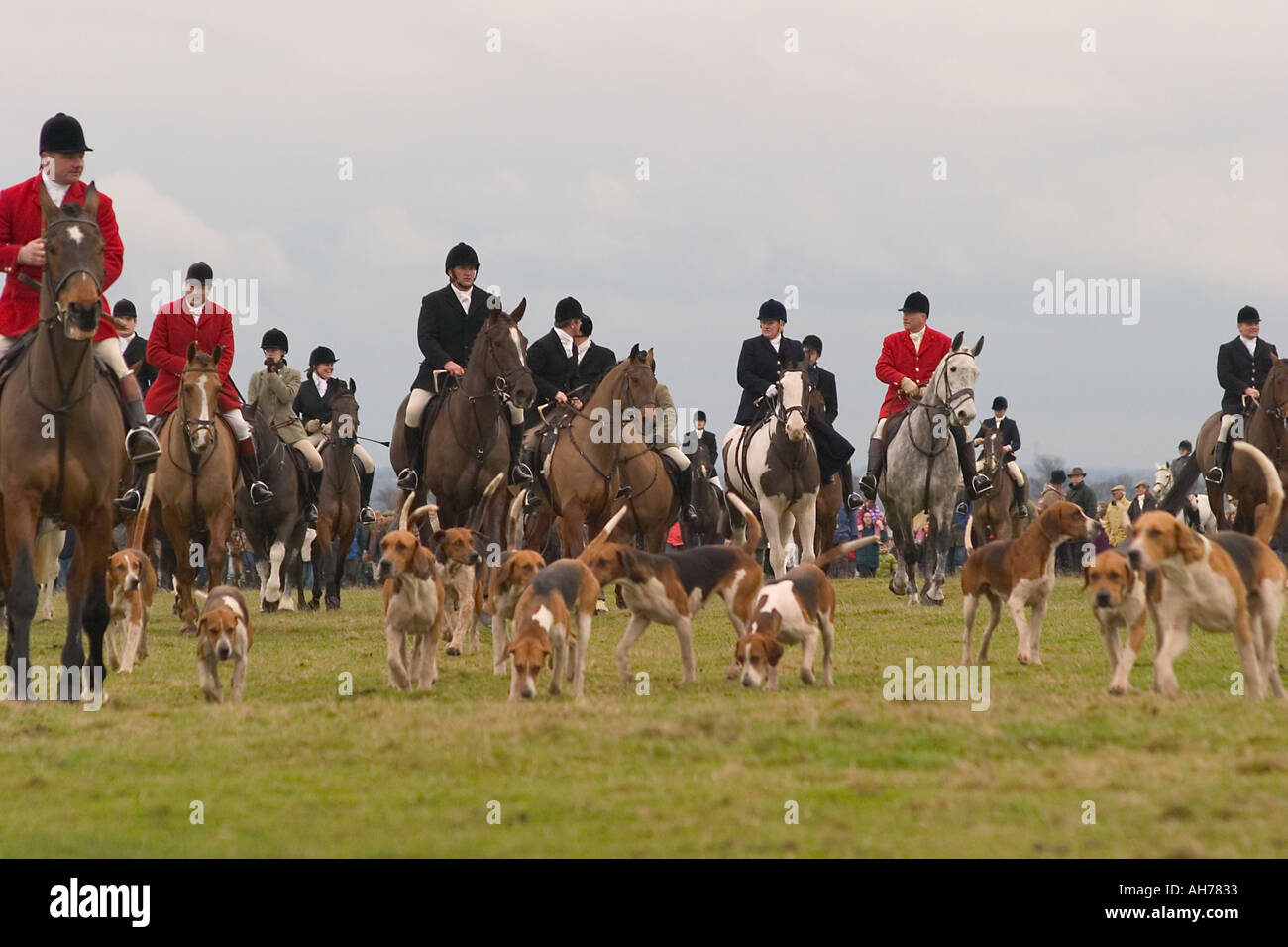 Hunting for sport hi-res stock photography and images - Alamy
