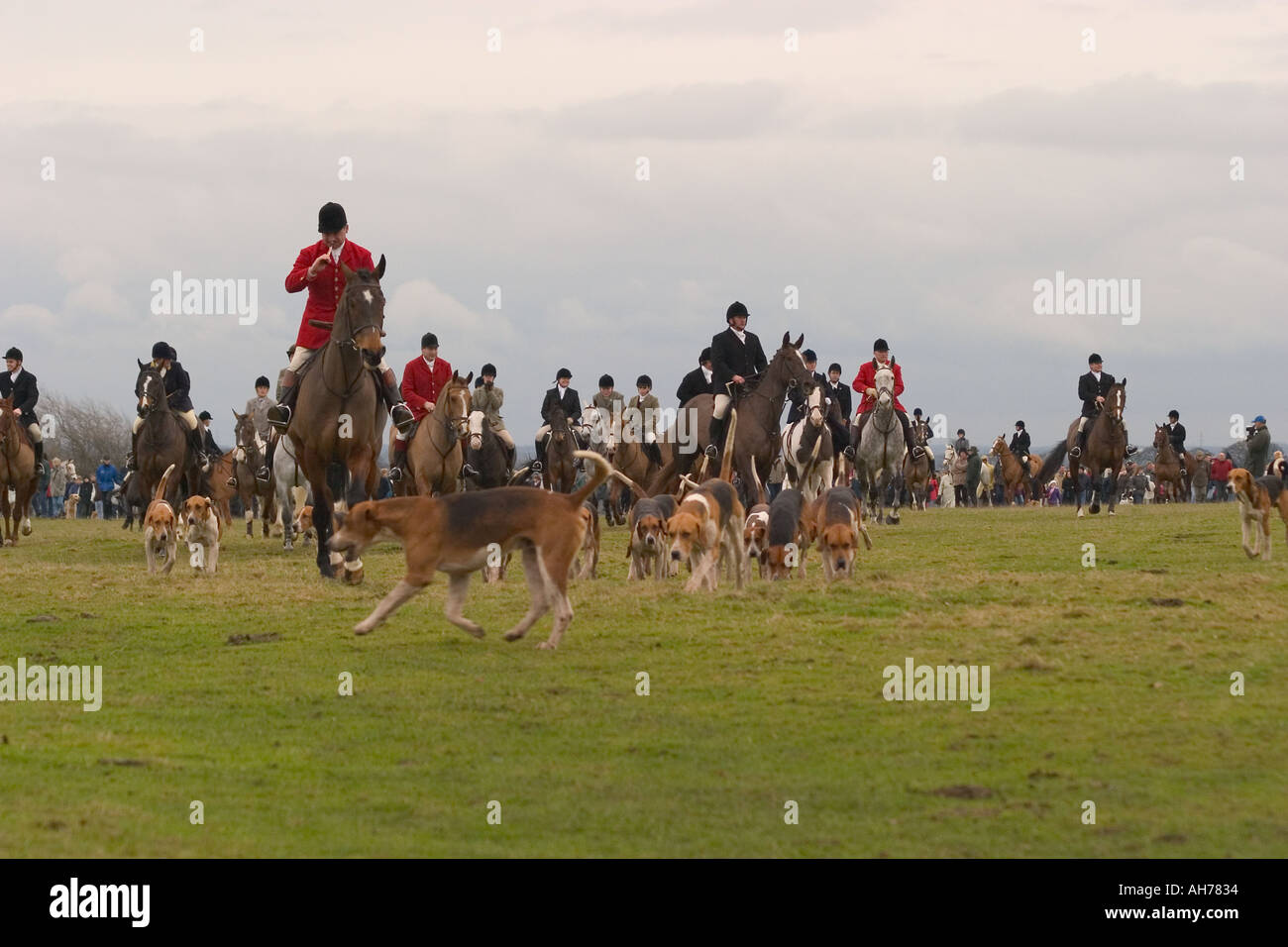 Hunting for sport hi-res stock photography and images - Alamy