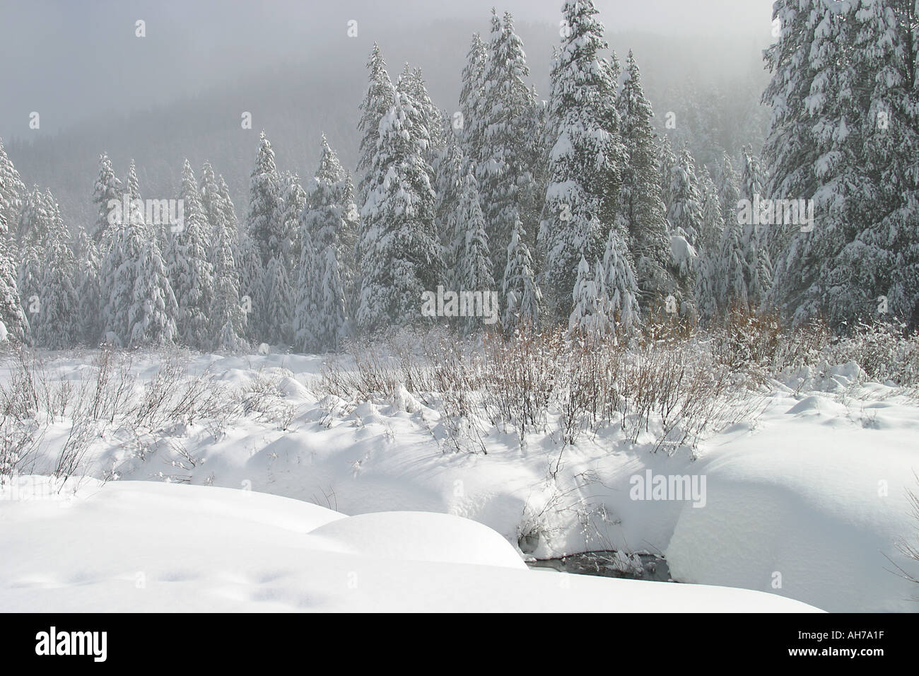 Wolverton park hi-res stock photography and images - Alamy