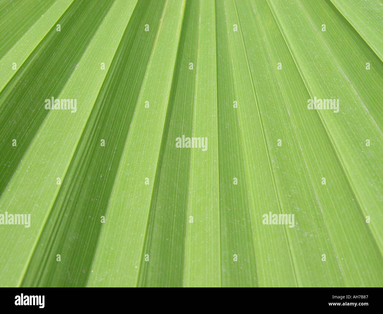 Unfolding hi-res stock photography and images - Alamy
