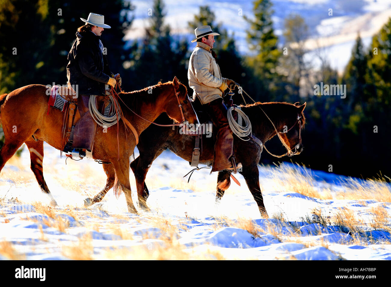 Two men on horses walk hi-res stock photography and images - Alamy