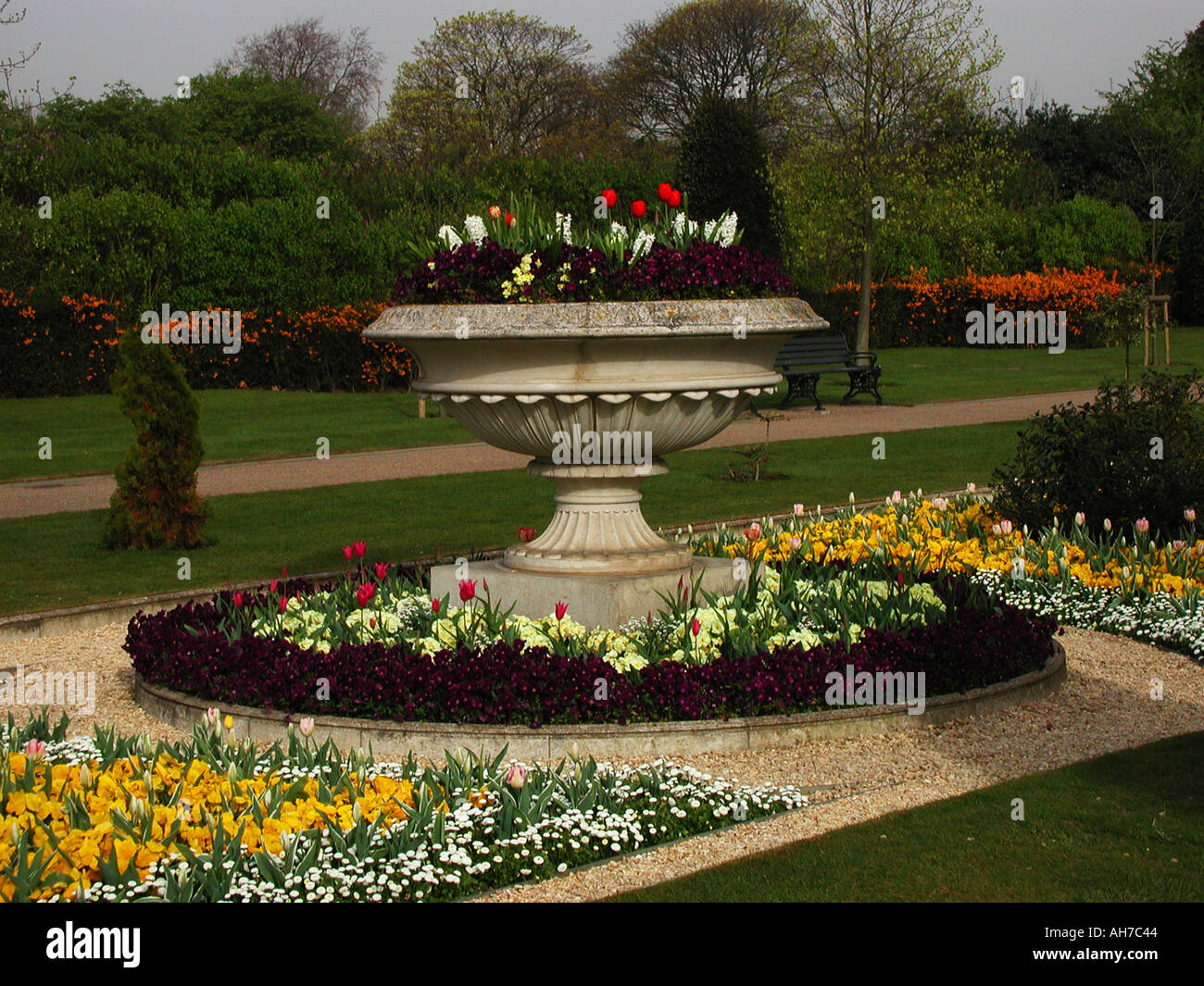 Spring flowers in The Regent s Park London UK Stock Photo - Alamy
