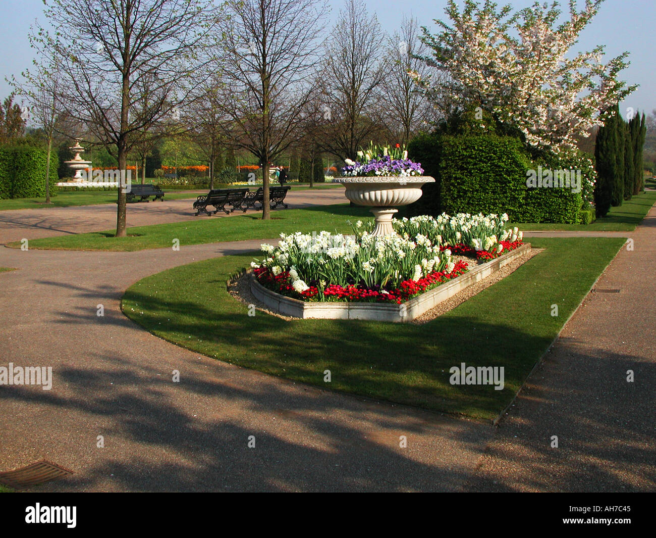 Spring flowers in The Regent s Park London UK Stock Photo - Alamy