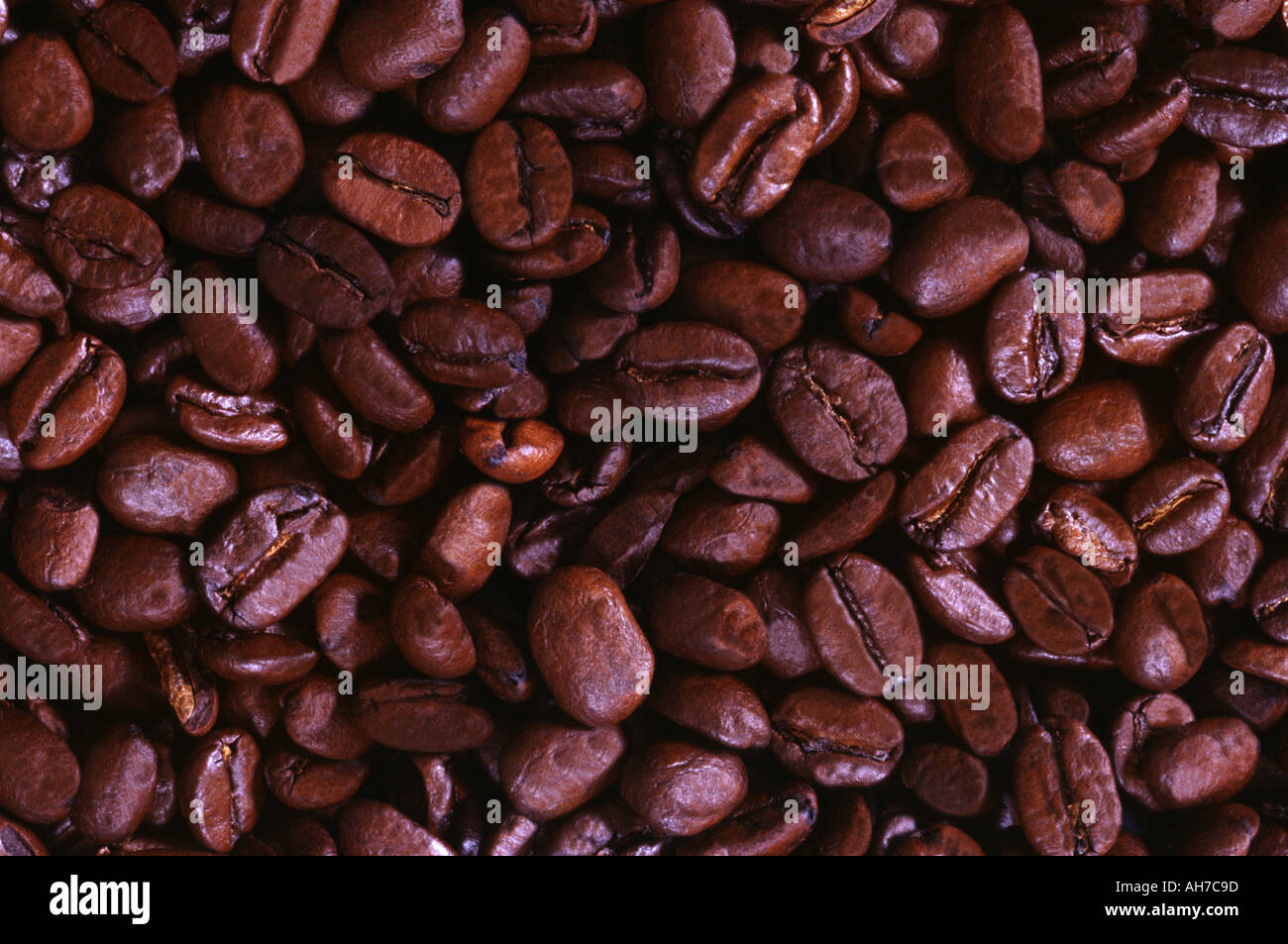 Colombian Coffee Beans Stock Photo - Alamy