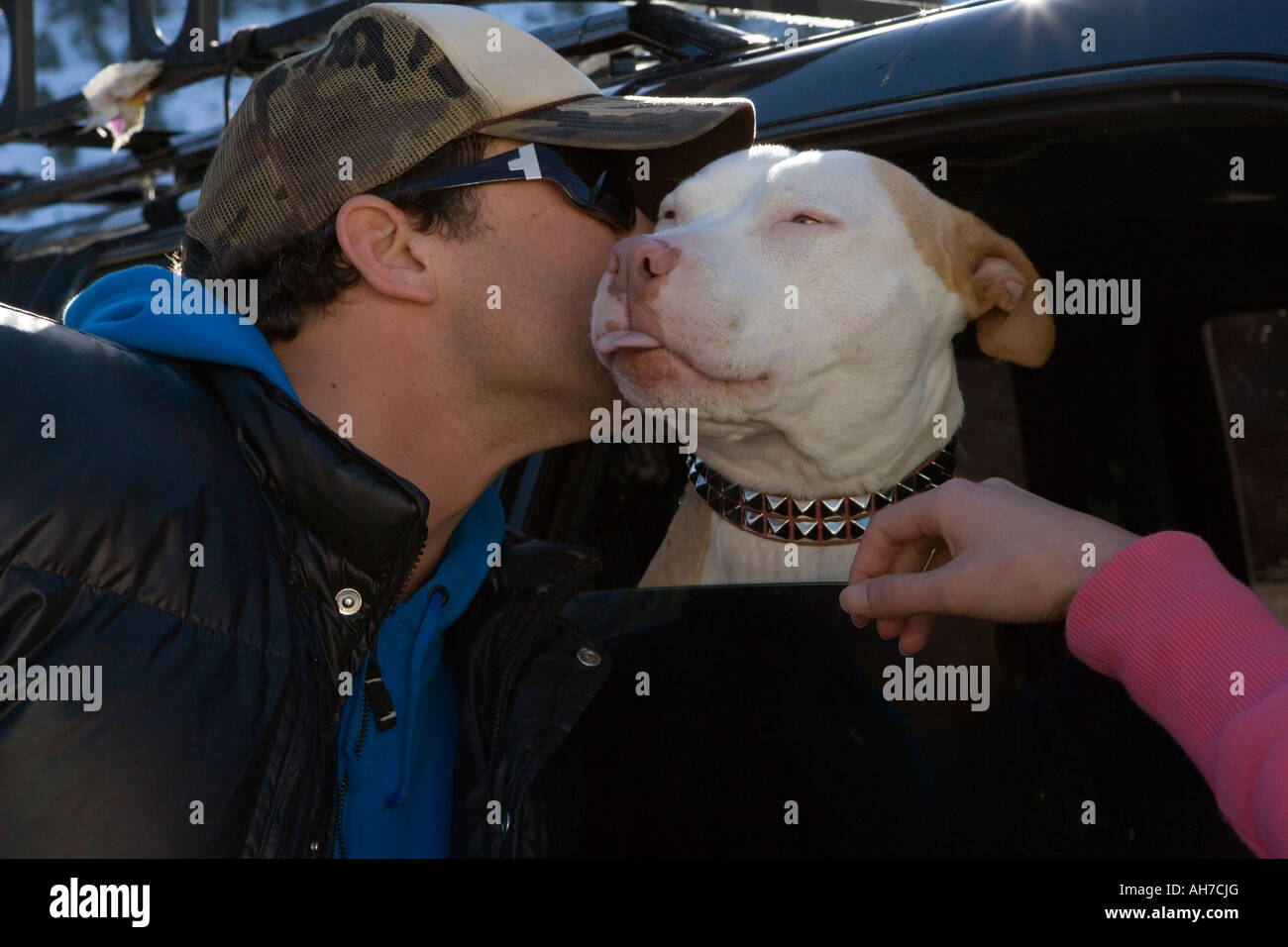 Close-up of a mid adult man kissing a dog in a sport utility vehicle ...