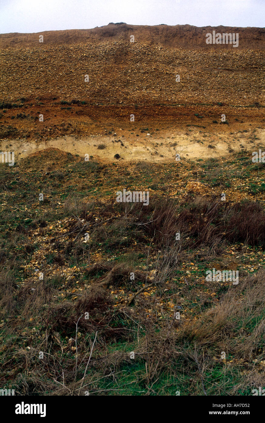 Barton clay cliff hi-res stock photography and images - Alamy