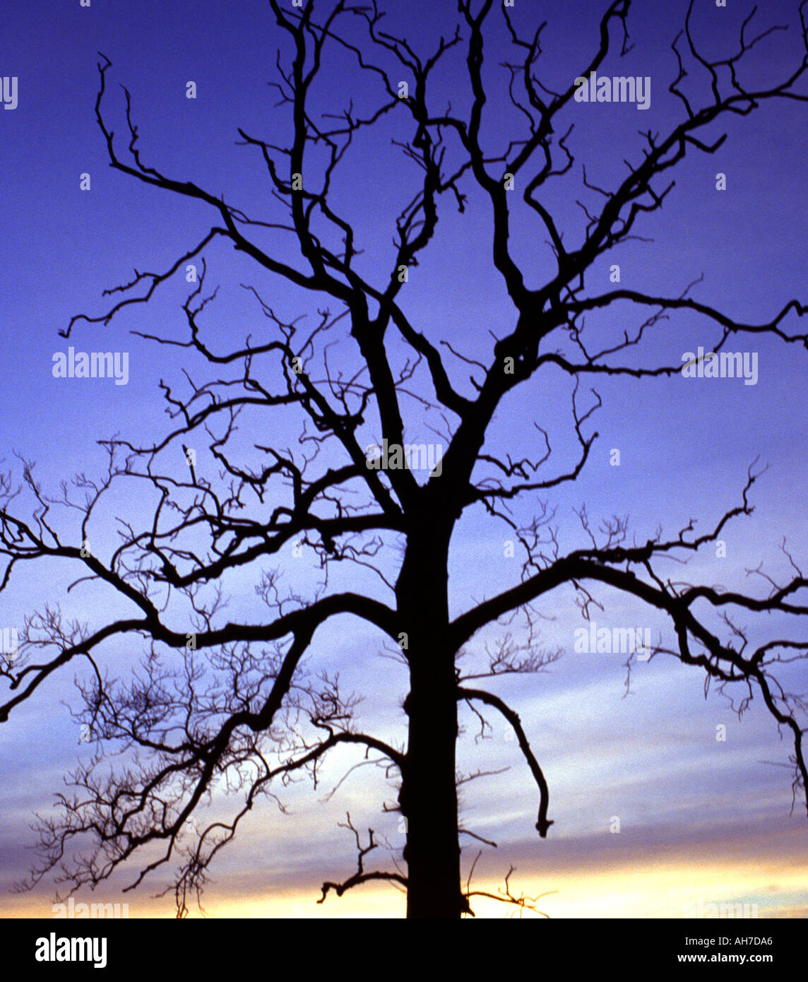 Chryston hi-res stock photography and images - Alamy