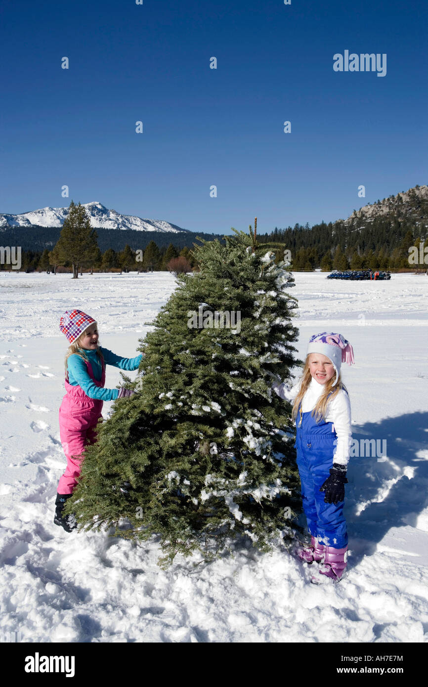 Two girls standing by a tree Stock Photo - Alamy