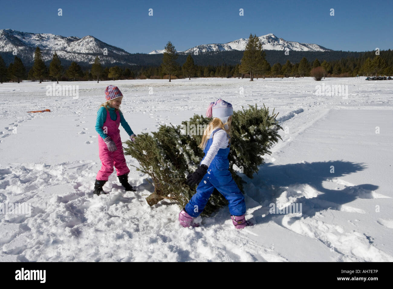 Two girls walking by a fallen tree Stock Photo - Alamy