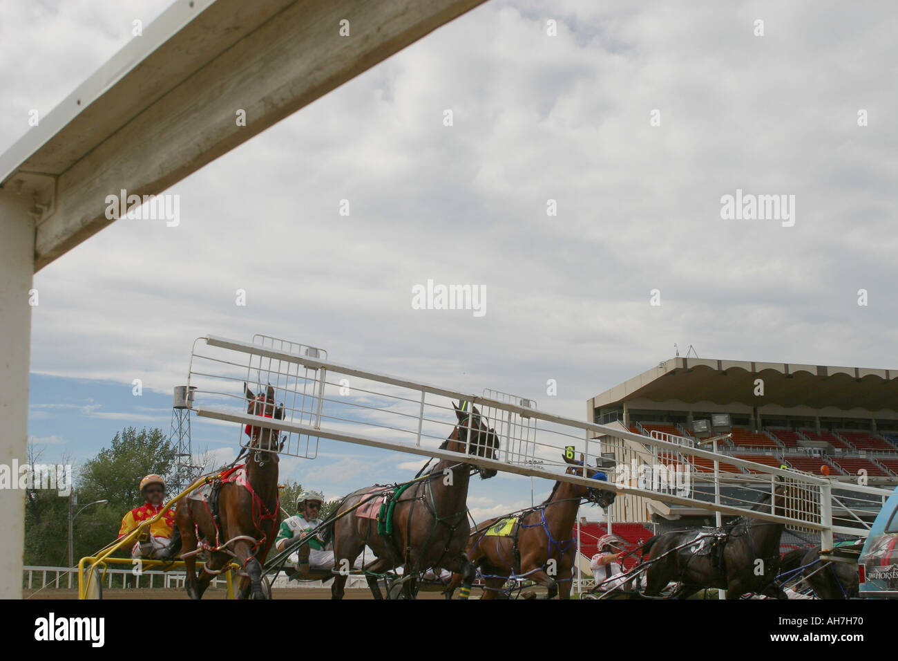 Black tears horse hi-res stock photography and images - Alamy