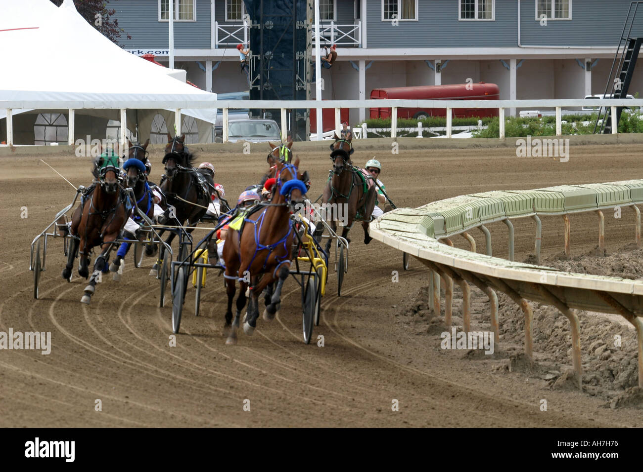 Black tears horse hi-res stock photography and images - Alamy