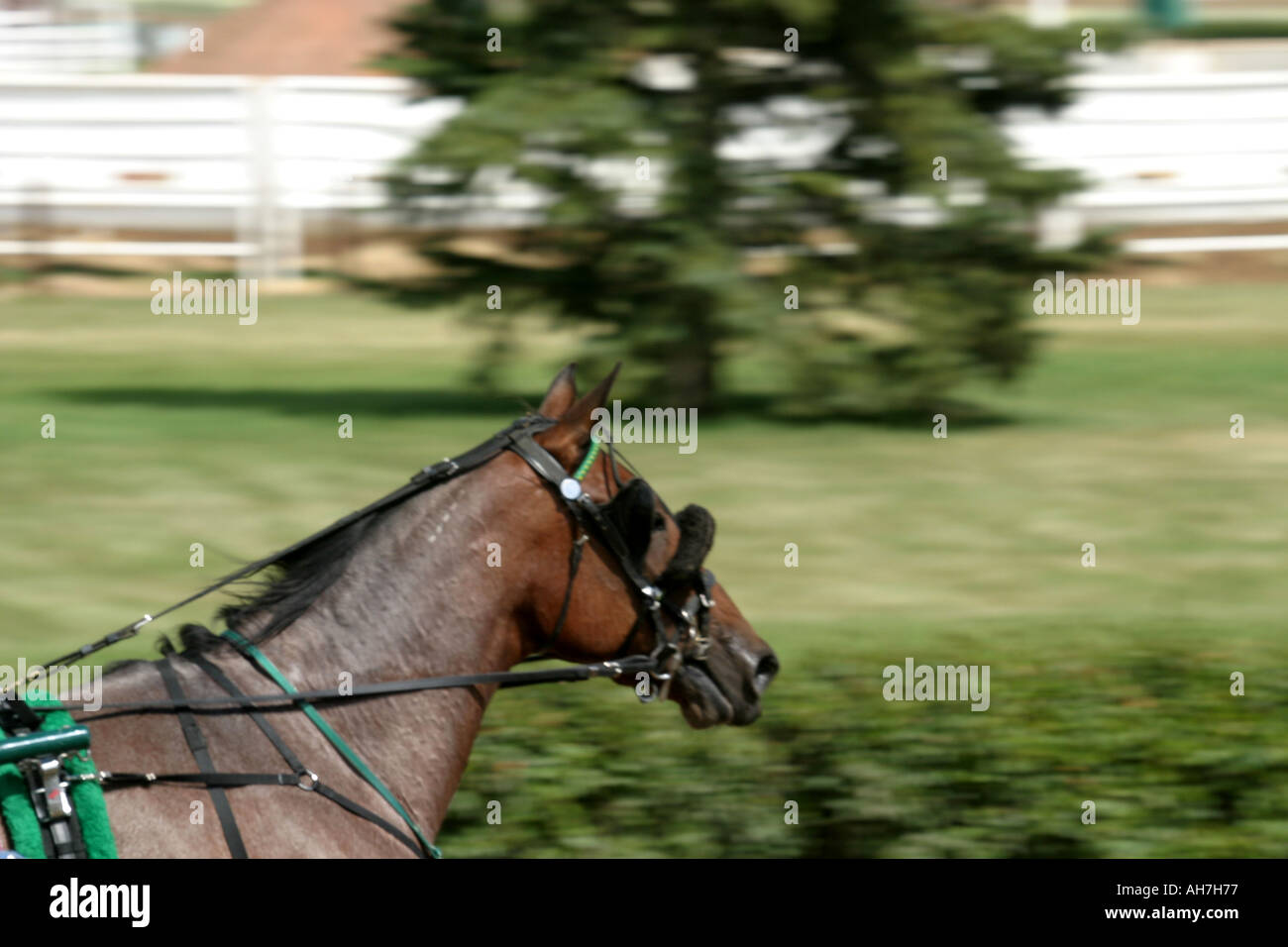 Jughead hi-res stock photography and images - Alamy