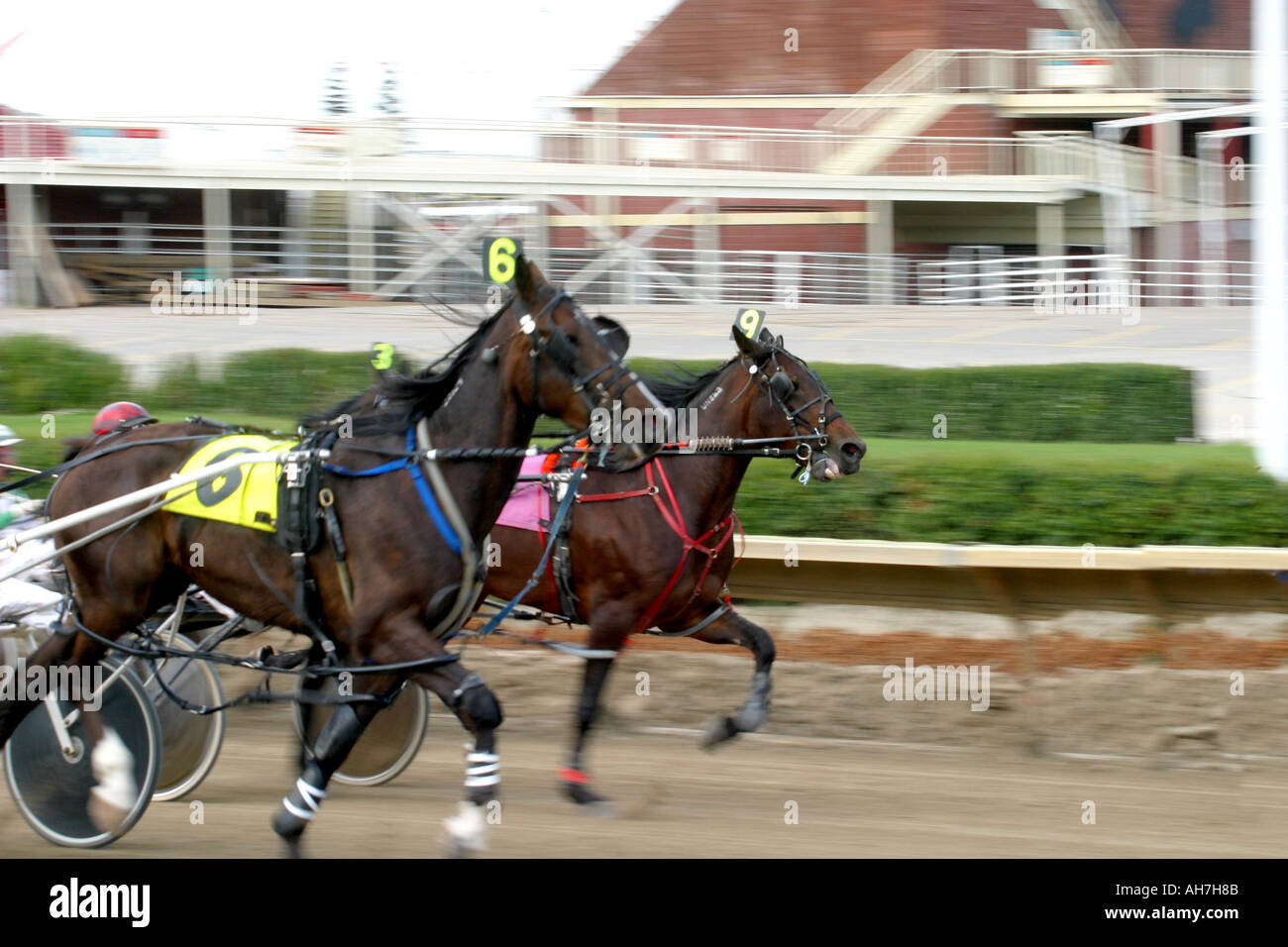 Bridle joint hi-res stock photography and images - Alamy