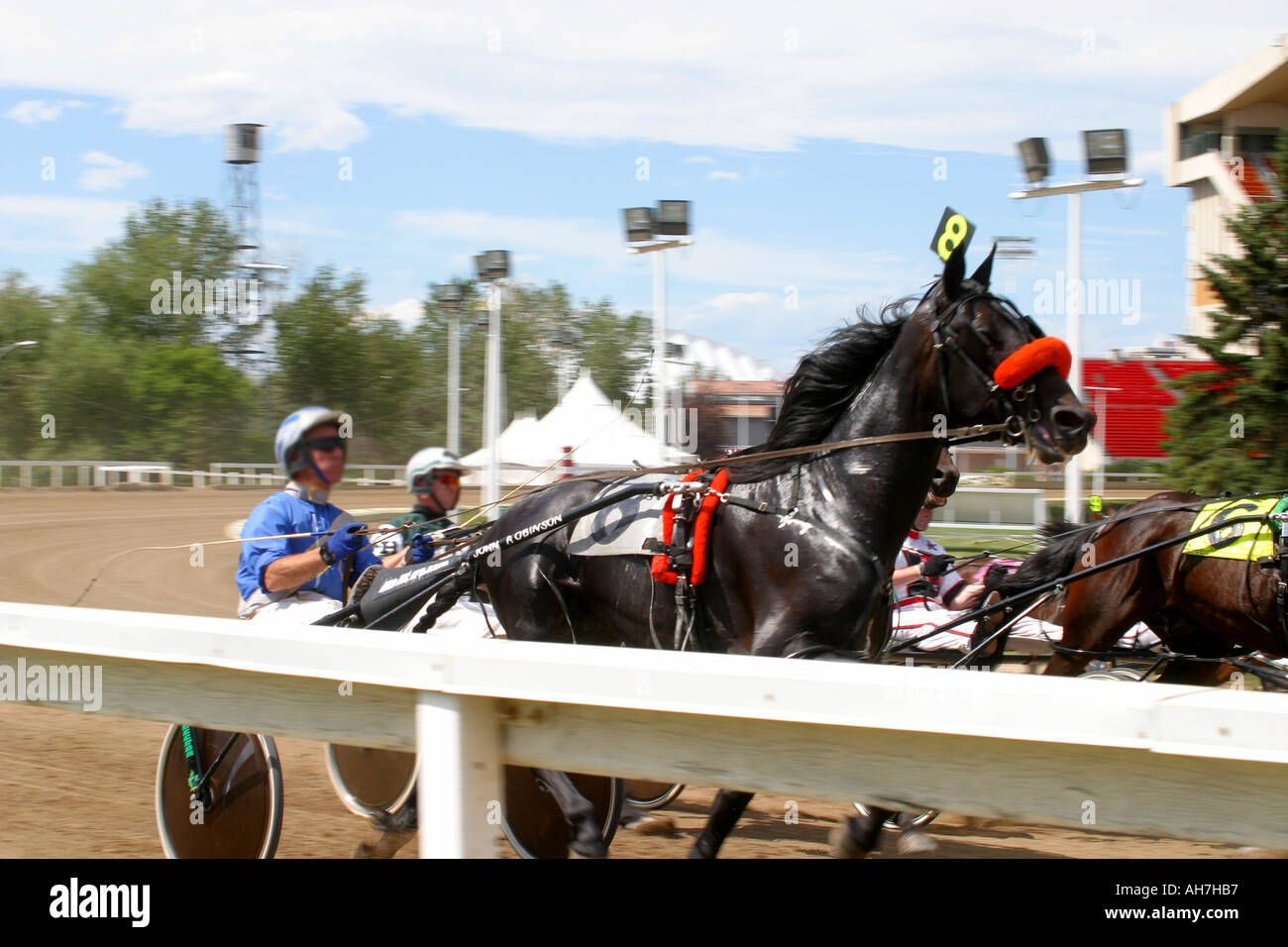 Standardbred pacer hi-res stock photography and images - Alamy